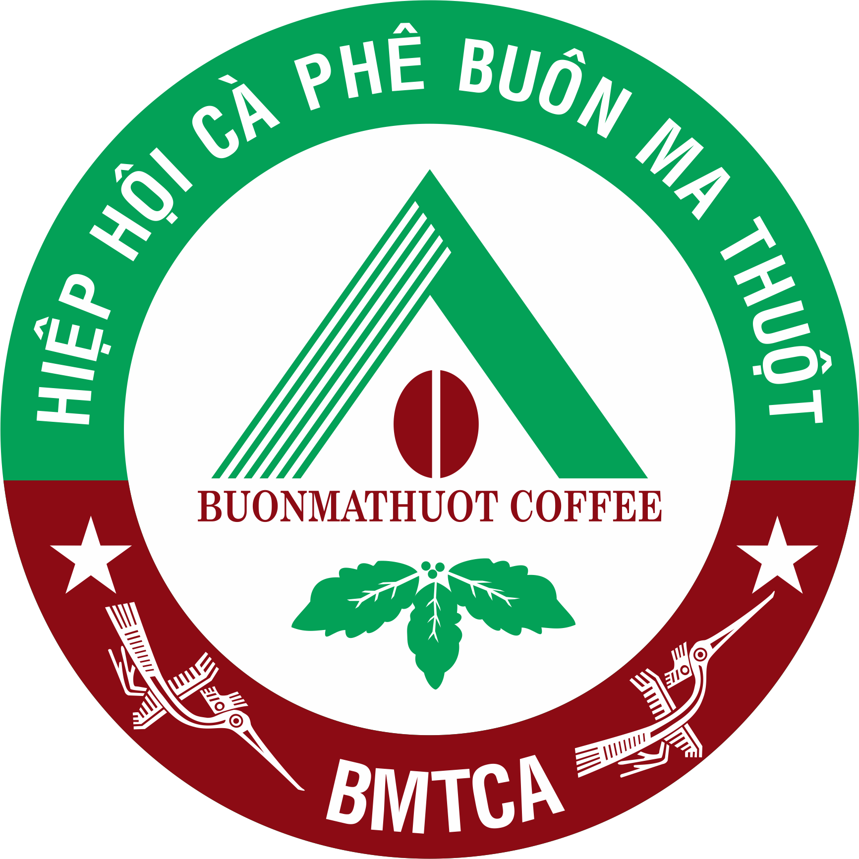 Viet Nam Amazing Cup